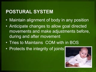 POSTURAL CONTROL AND MOVEMENT SYSTEMS.pptx