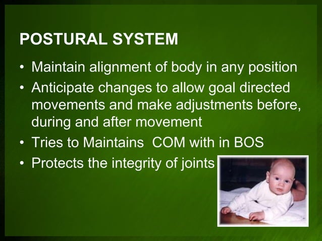 POSTURAL CONTROL AND MOVEMENT SYSTEMS.pptx
