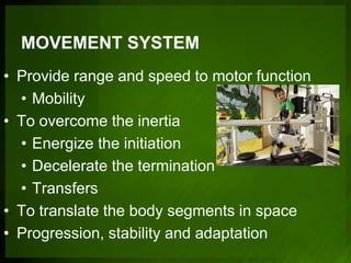 POSTURAL CONTROL AND MOVEMENT SYSTEMS.pptx