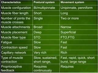 POSTURAL CONTROL AND MOVEMENT SYSTEMS.pptx