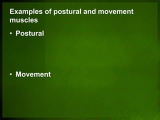 POSTURAL CONTROL AND MOVEMENT SYSTEMS.pptx