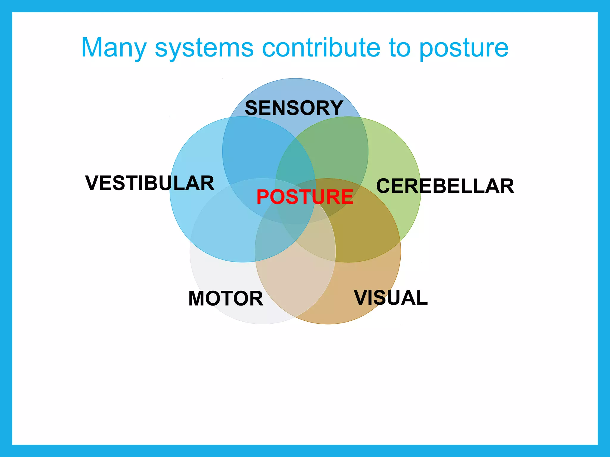 Postural management for people with MS | PPT
