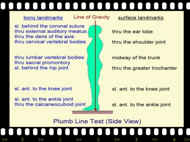 Posture assessment cpd | PPTX | Death, Injury, or Military Conflict ...