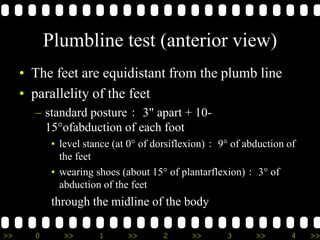 Posture assessment cpd | PPTX