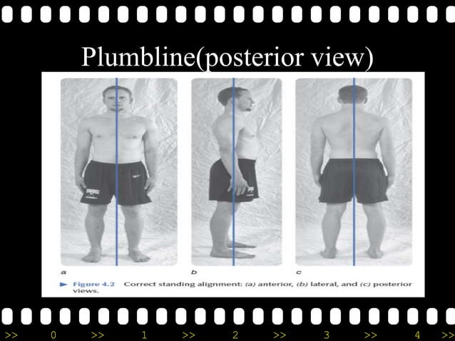 Posture assessment cpd | PPTX | Death, Injury, or Military Conflict ...