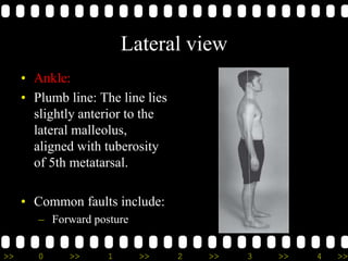 Posture assessment cpd | PPTX