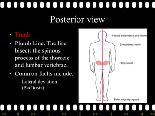 Posture assessment cpd | PPTX