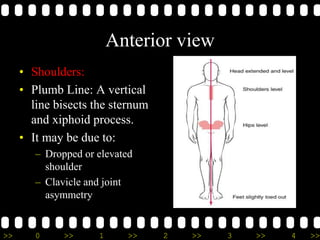 Posture assessment cpd | PPTX