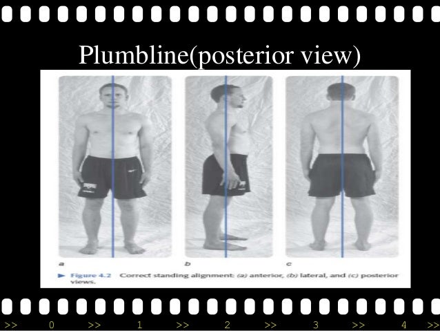 Posture assessment cpd