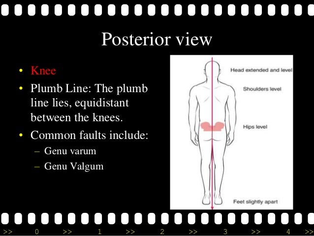 Posture assessment cpd