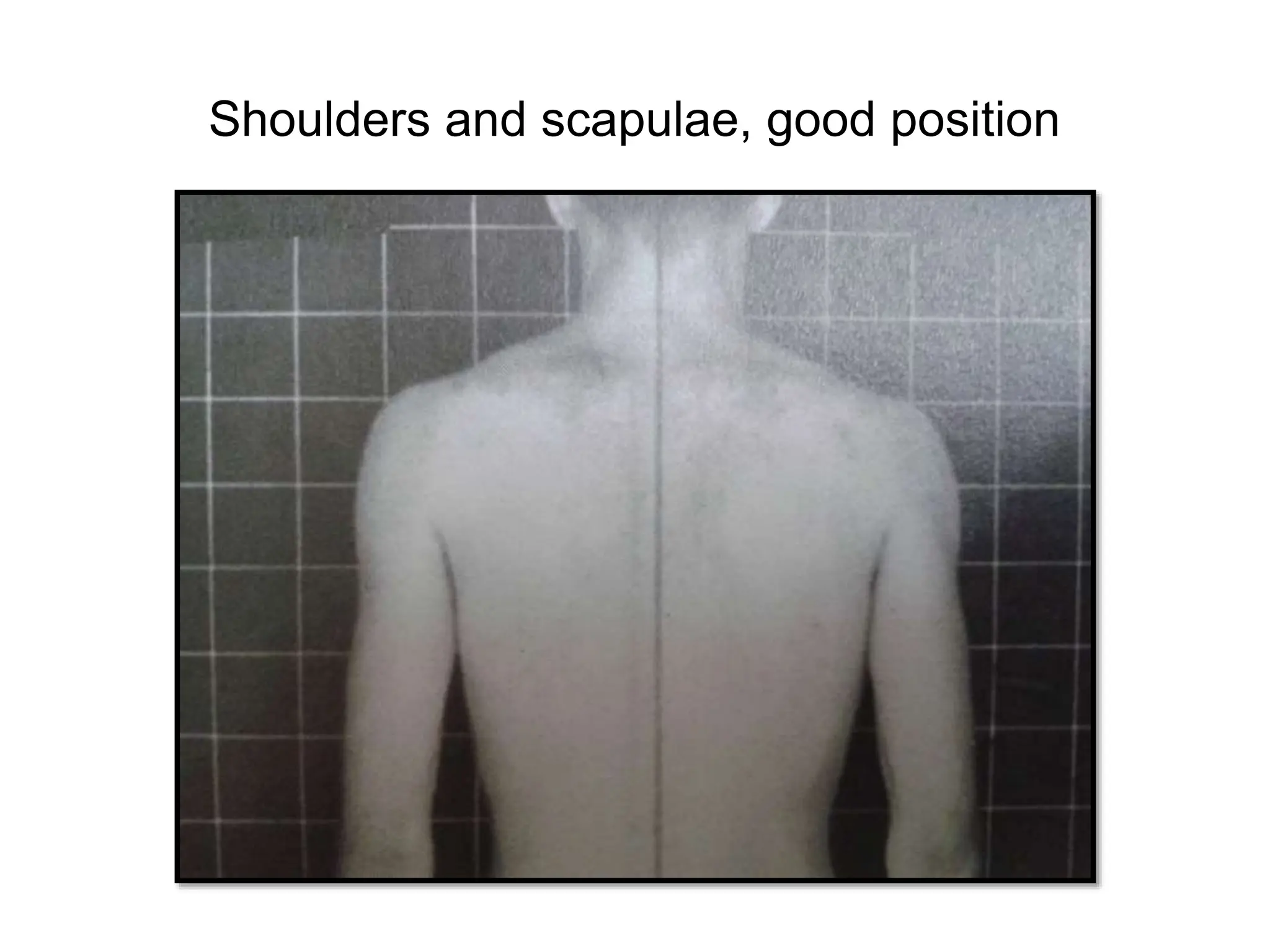postural assessment presentation_2010.pptx