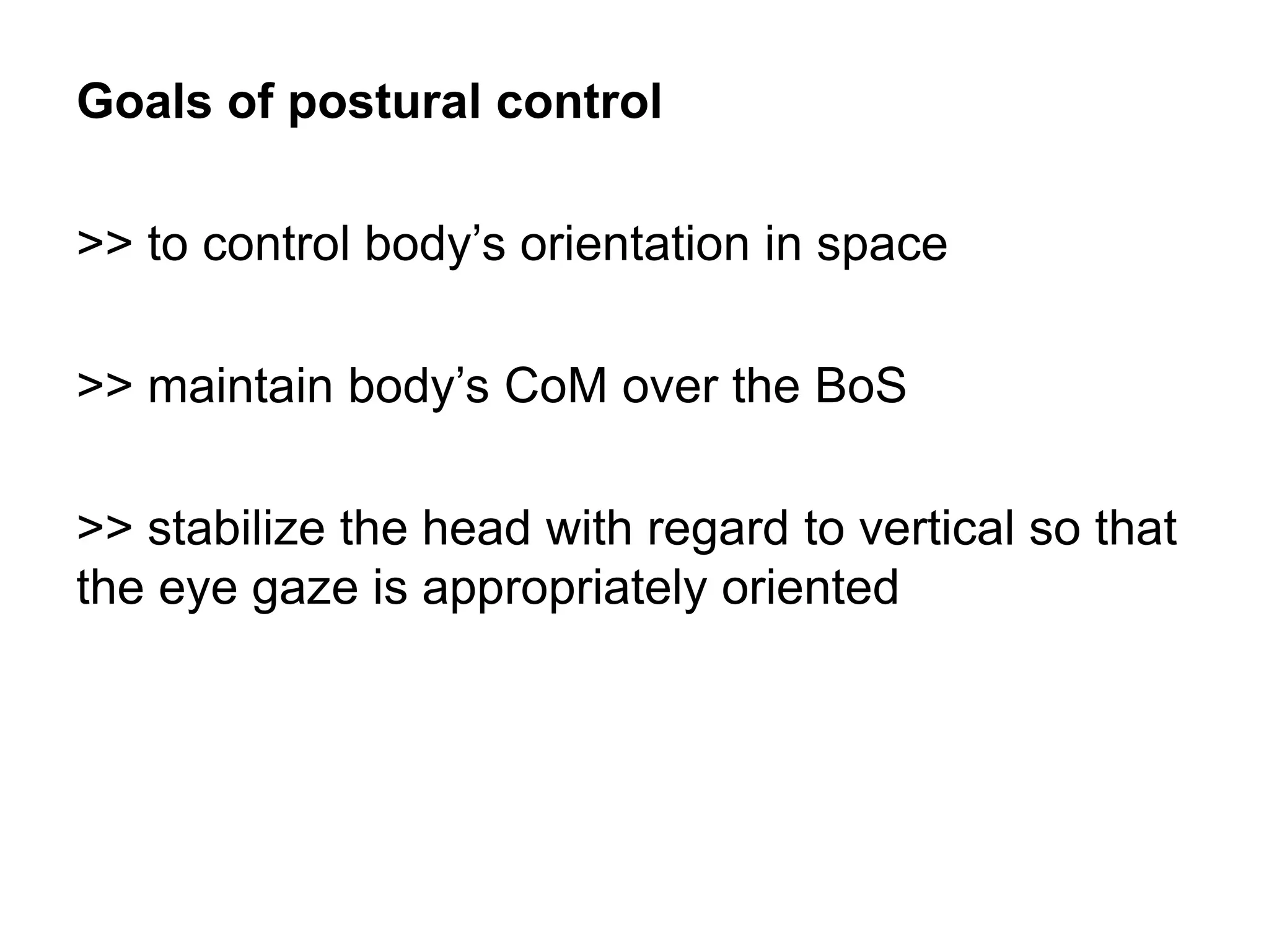 postural assessment presentation_2010.pptx