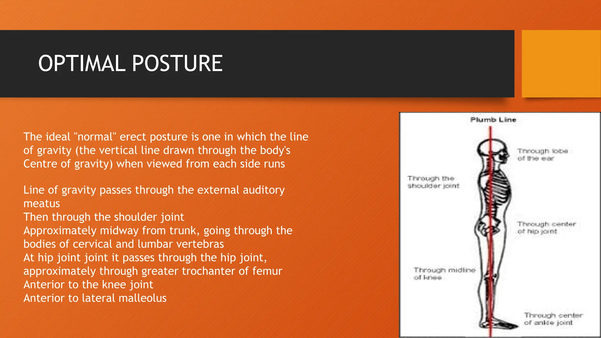 Posture dynamics biomechanics of posture | PPTX