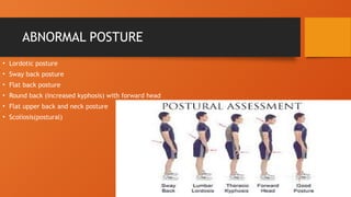 Posture dynamics biomechanics of posture | PPTX