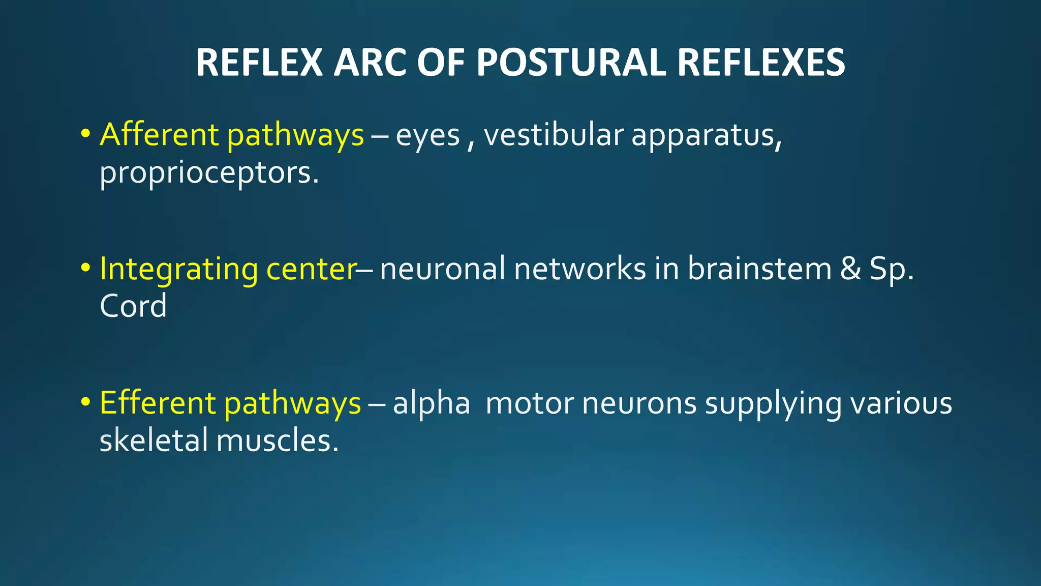 Postural reflexes Physiology | PPTX