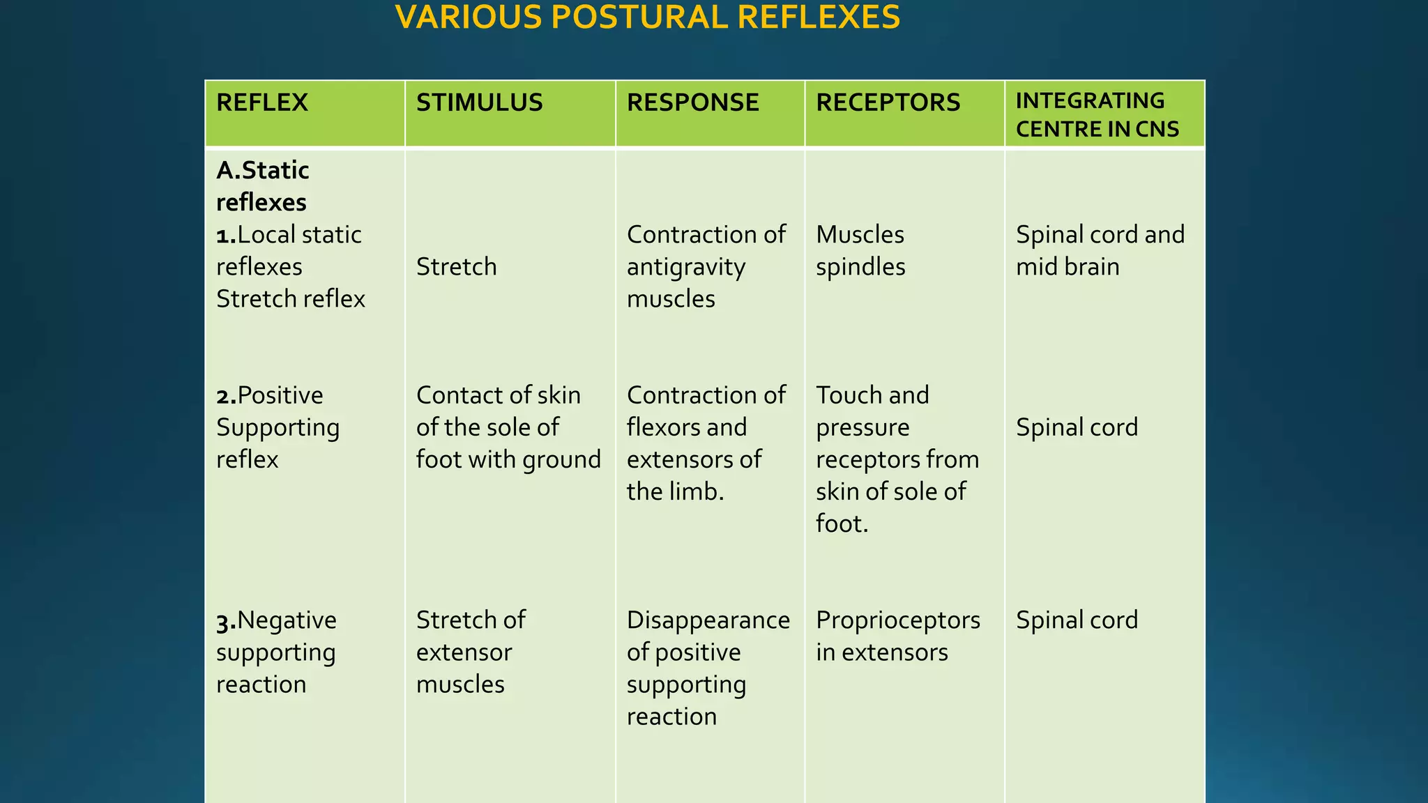 Postural reflexes Physiology | PPTX