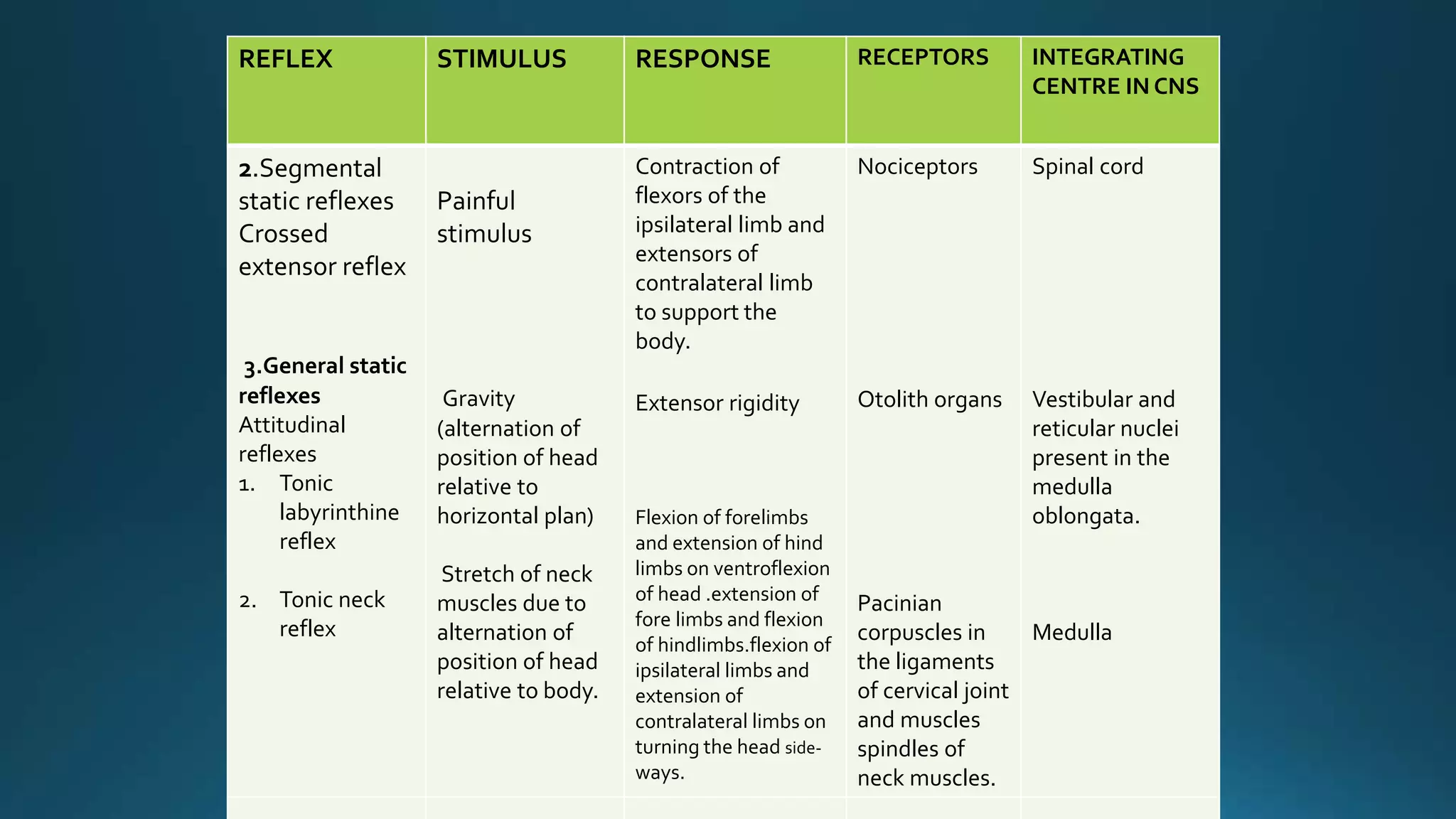 Postural reflexes Physiology | PPTX