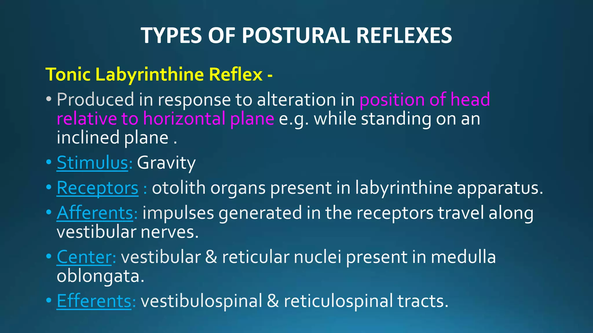 Postural reflexes Physiology | PPTX
