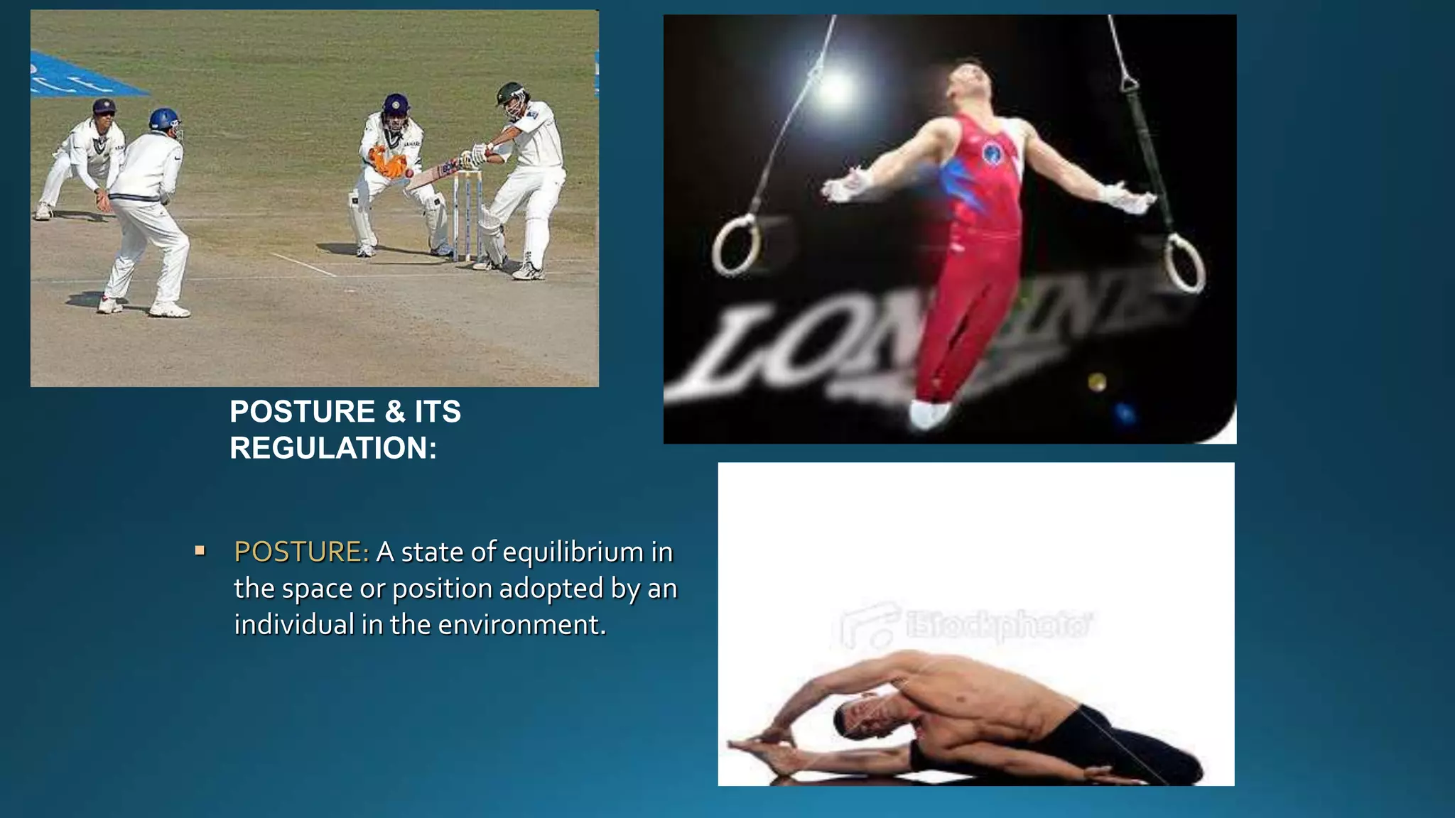 Postural reflexes Physiology | PPTX