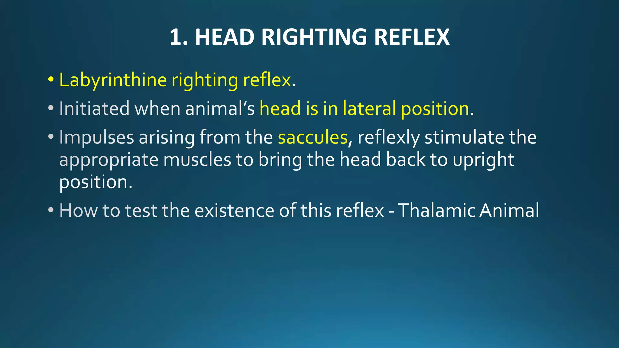 Postural reflexes Physiology | PPTX