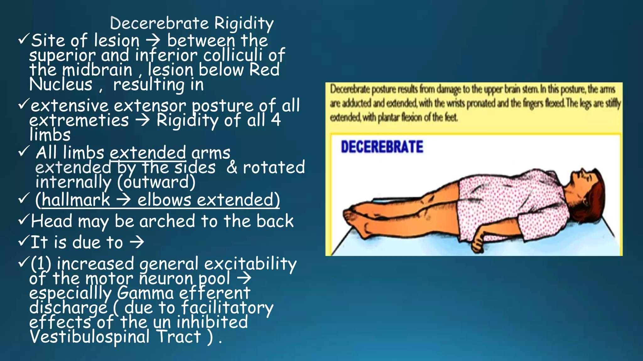 Postural reflexes Physiology | PPTX