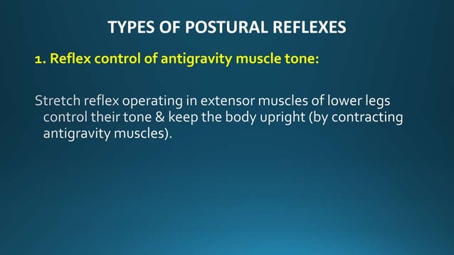 Postural reflexes Physiology | PPTX