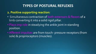 Postural reflexes Physiology | PPTX
