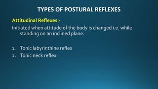 Postural reflexes Physiology | PPTX