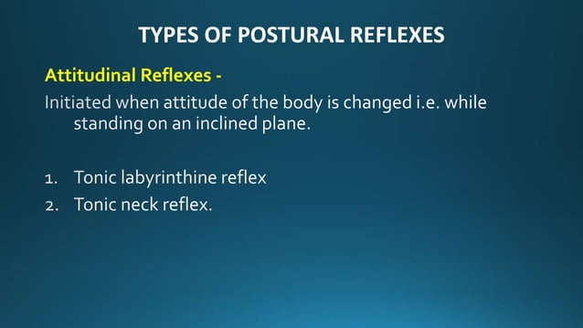 Postural reflexes Physiology | PPTX