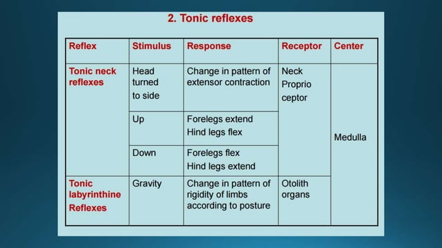 Postural reflexes Physiology | PPTX