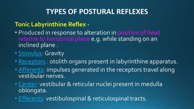 Postural reflexes Physiology | PPTX