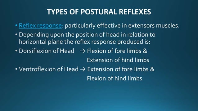 Postural reflexes Physiology | PPTX