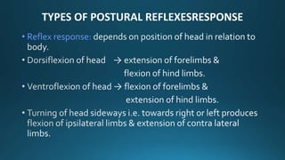 Postural reflexes Physiology | PPTX