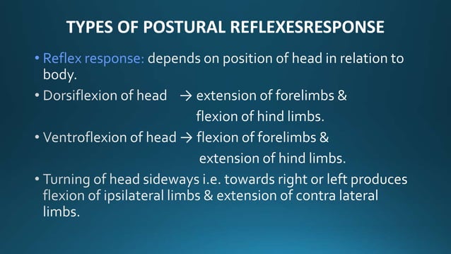 Postural reflexes Physiology | PPTX
