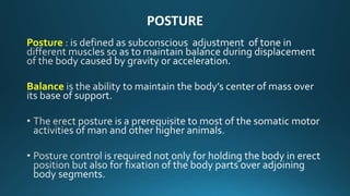 Postural reflexes Physiology | PPTX