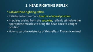 Postural reflexes Physiology | PPTX