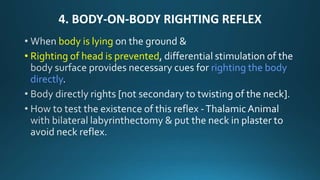Postural reflexes Physiology | PPTX