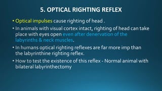Postural reflexes Physiology | PPTX