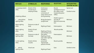 Postural reflexes Physiology | PPTX