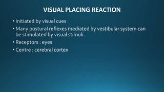 Postural reflexes Physiology | PPTX