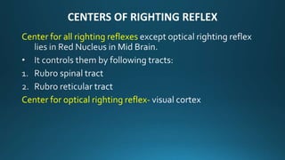 Optical Righting Reflex Infants