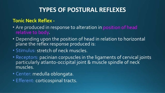 Postural reflexes Physiology