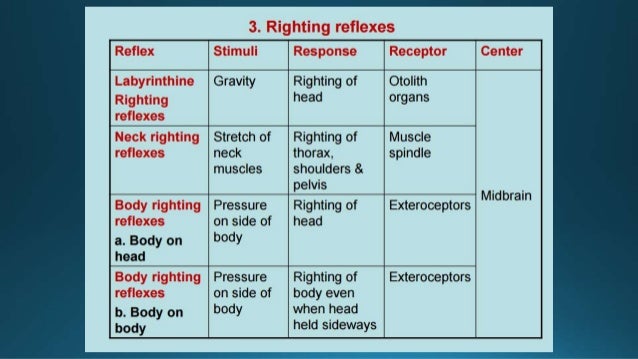 Postural reflexes Physiology