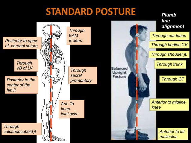 Posture in biomech.pptx