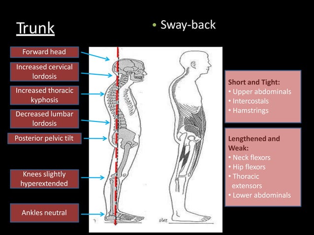 Posture in biomech.pptx