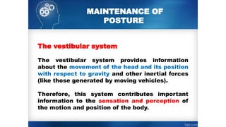 PHYSIOLOGY OF POSTURE & IT'S MAINTAINENCE.pptx