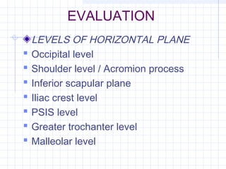 Posture & Physiotherapy | PPT