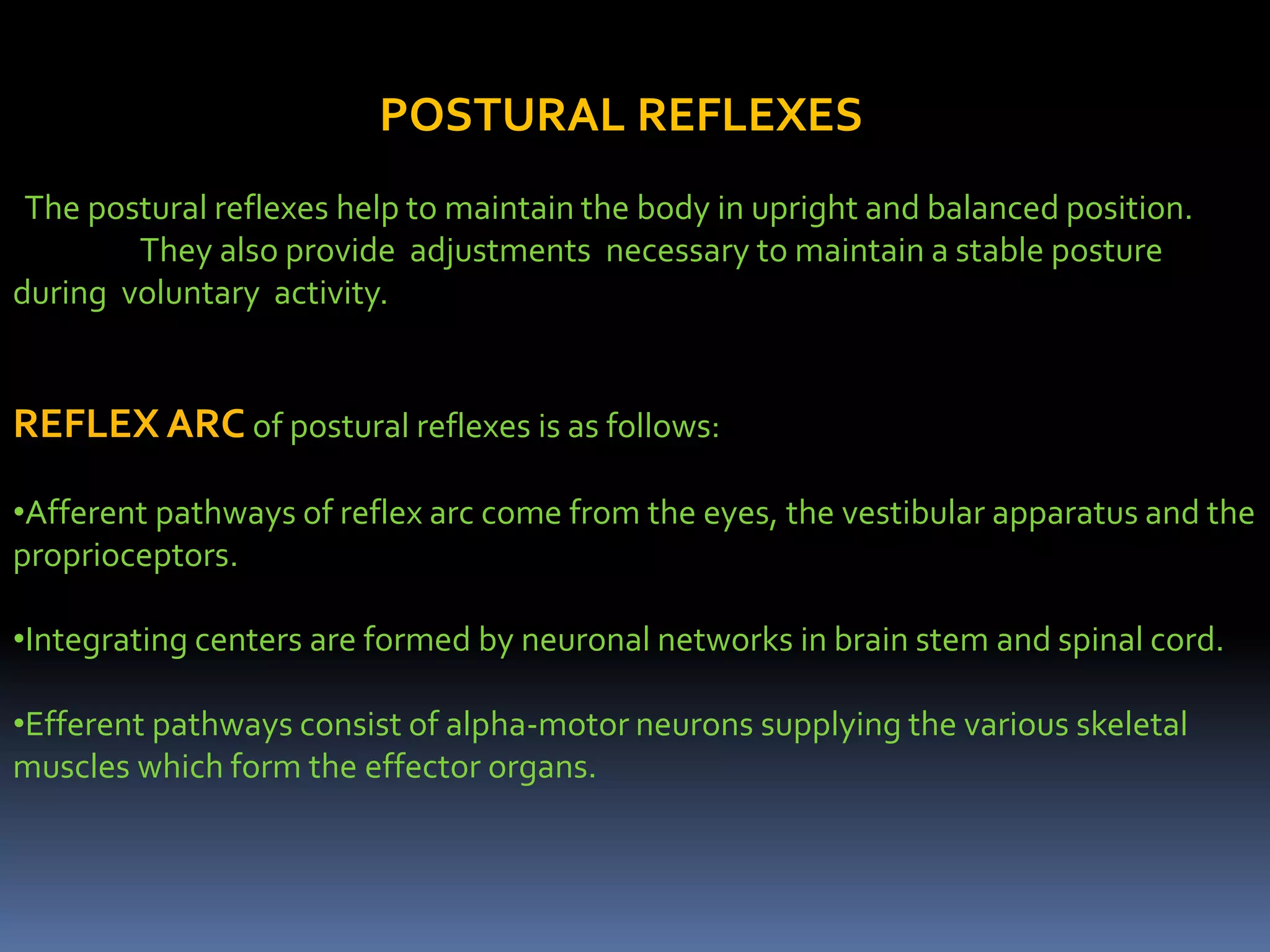 Posture ppt | PPTX