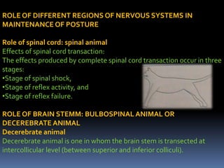 Posture ppt | PPTX