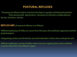 Posture ppt | PPTX